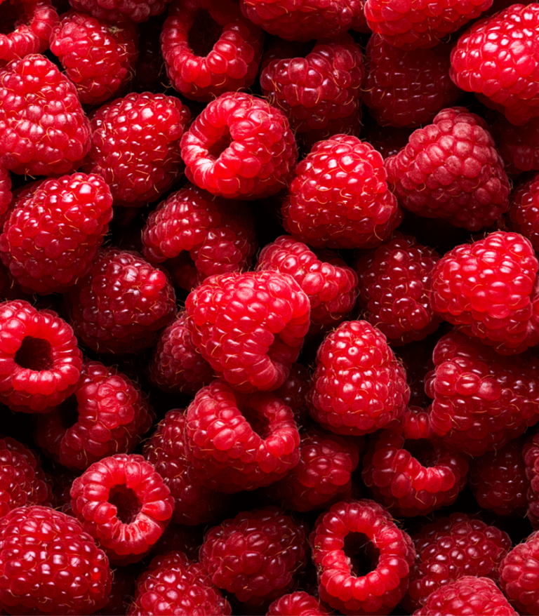 Custom Pastry & Bakery Products Tailored For You | PastryStar