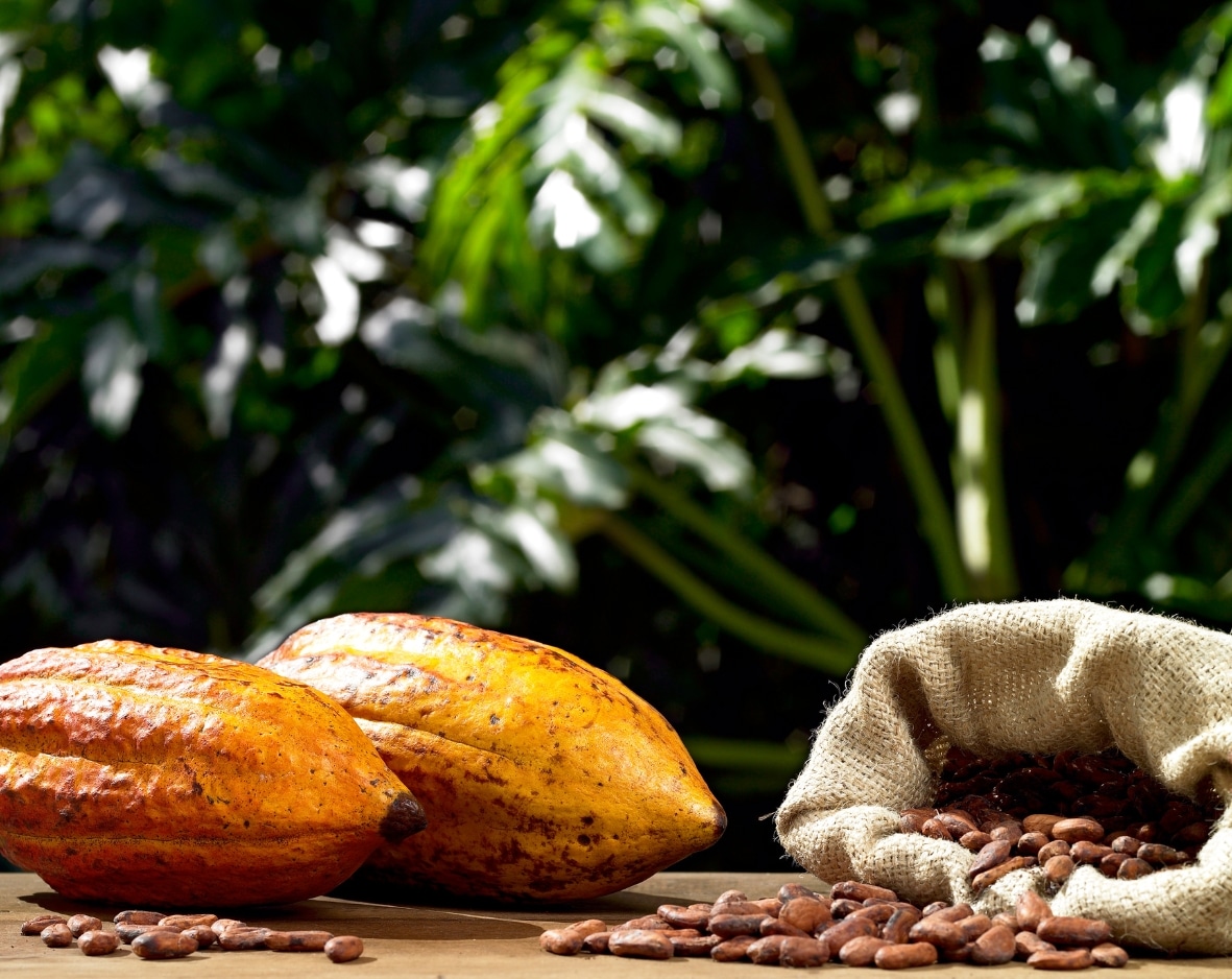 Market Insights: Trends Shaping the Pastry & Bakery Industry